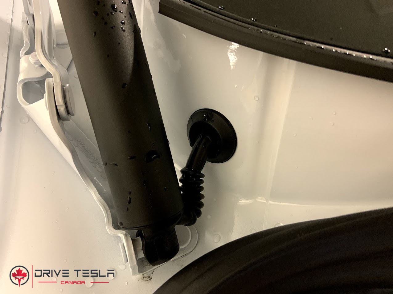 Up close look at the new 2021 Tesla Model 3 - Drive Tesla Canada