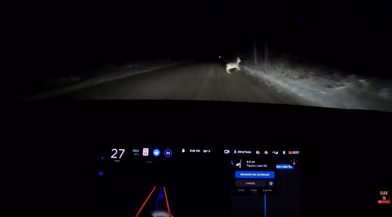 Tesla Full Self-Driving beta reacts to avoid deer crossing a road at ...