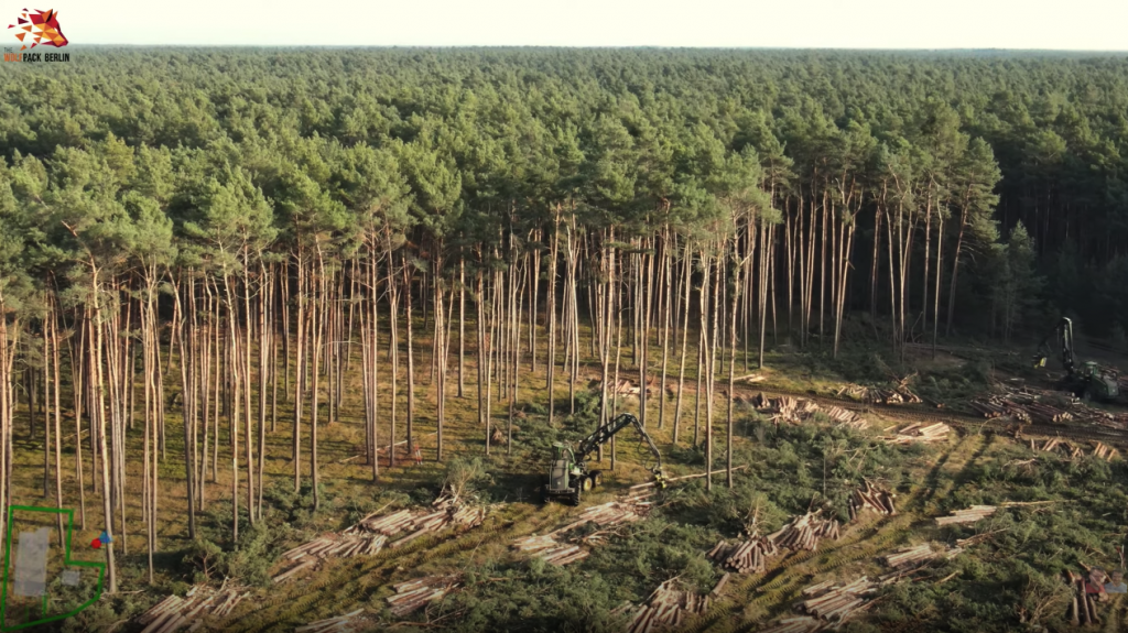 Giga Berlin to begin test production of Model Y Long Range this week ...