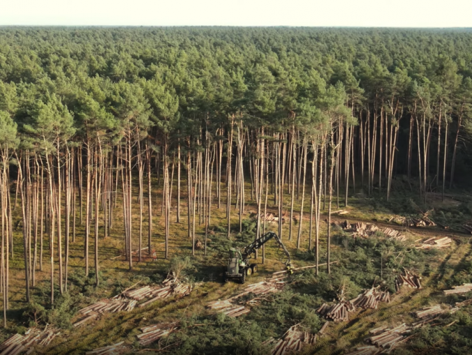 Giga Berlin to begin test production of Model Y Long Range this week ...