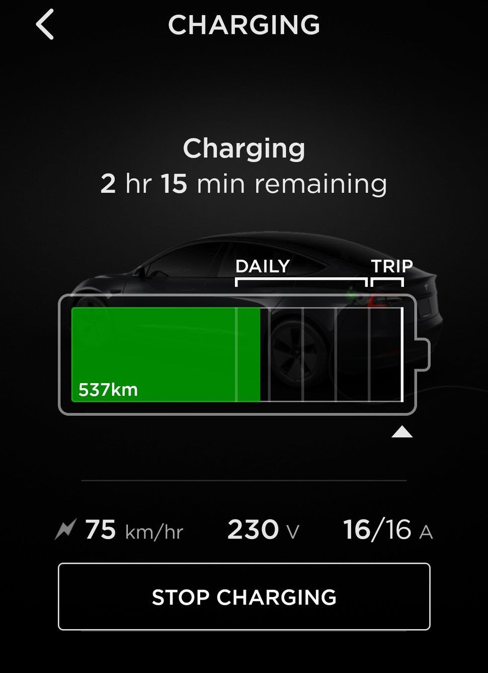 Tesla 2020.48.12.1 software update brings range increase to 2021 Model ...