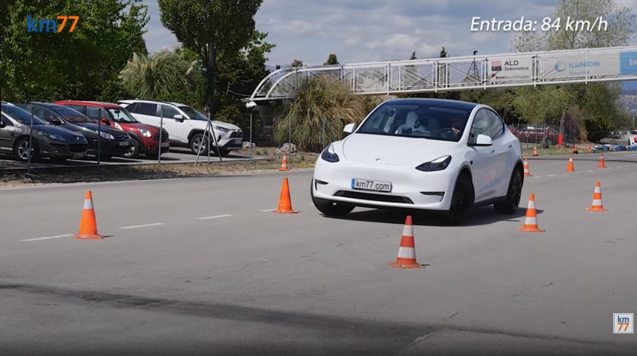 Tesla Model Y impresses in Moose Test - Drive Tesla