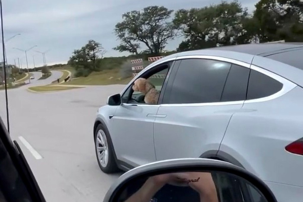Surprise, the Tesla dog video was staged - Drive Tesla