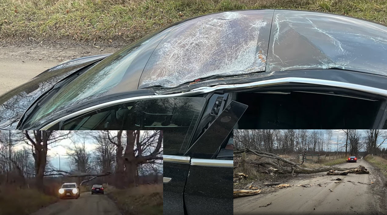 Video captures massive tree falling onto Tesla Model 3 glass roof, all ...