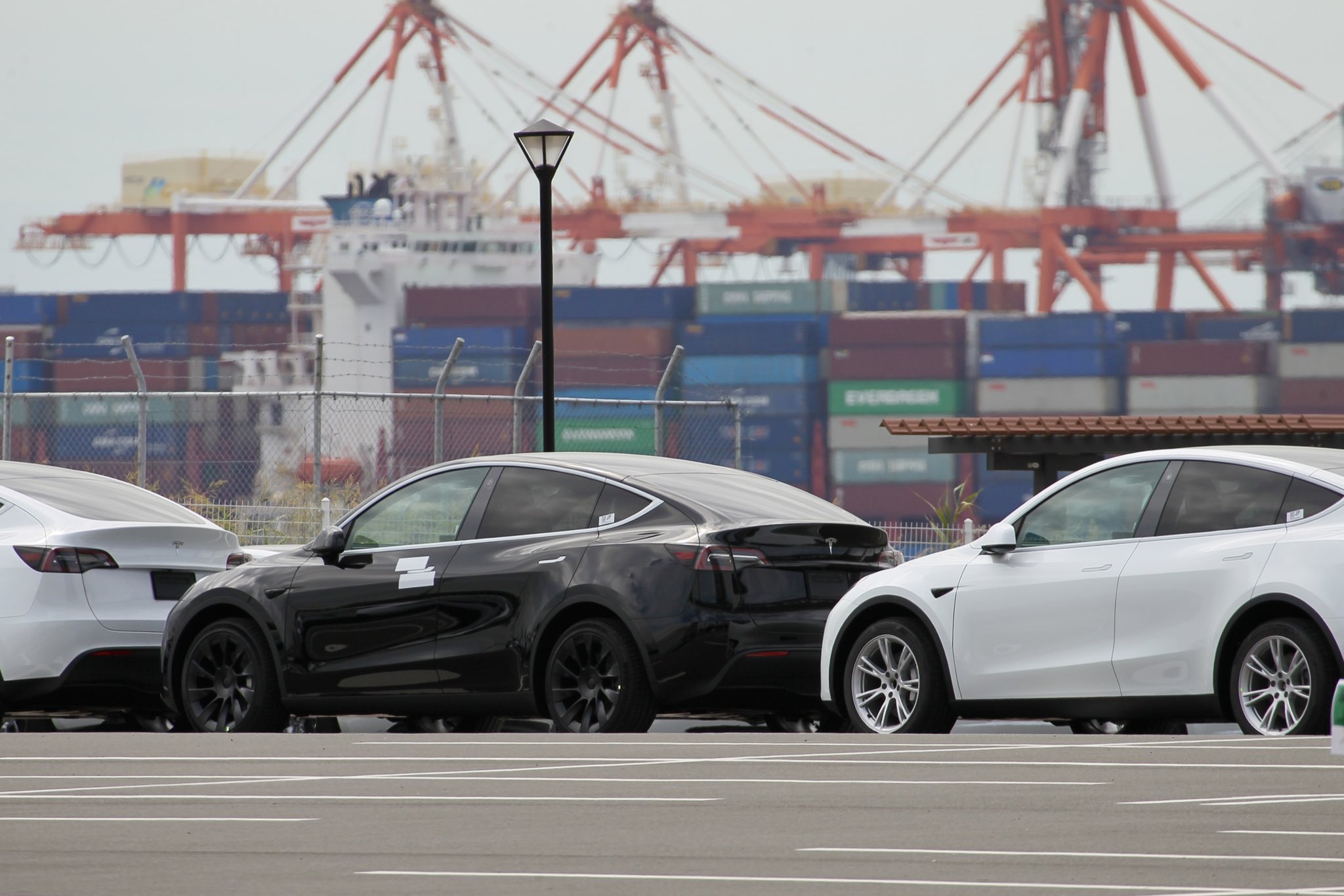 Large batch of Tesla Model Ys arrive in Japan ahead of first deliveries ...