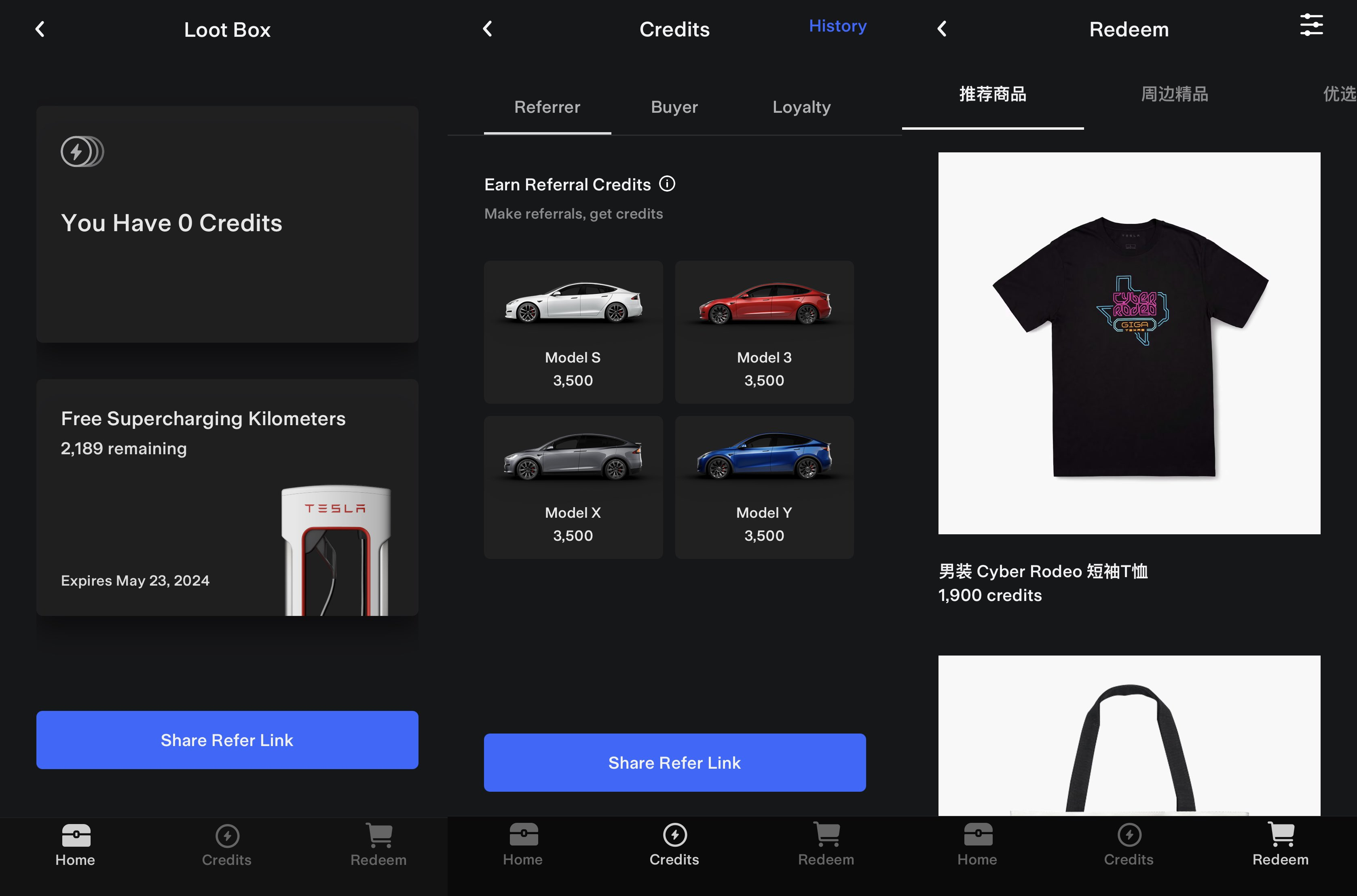 First look and new details of Tesla's 'Treasure Chest' referral program ...