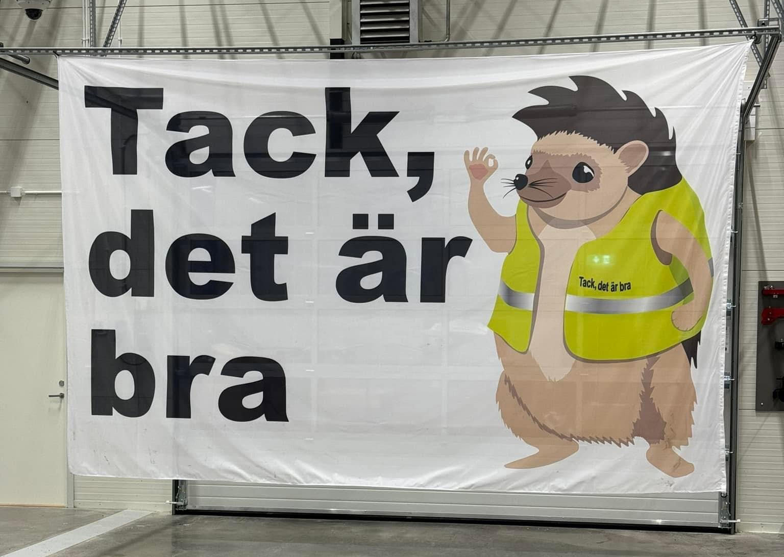 Tesla’s Hedgehog Mascot Takes Center Stage in Sweden’s Union Power Grid ...